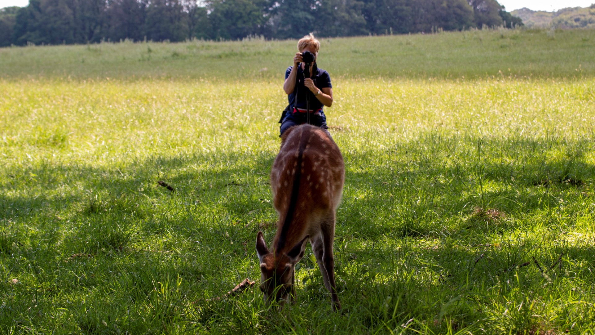 Vakantiekiekjes Ad van Meurs (10) – TV-krant
