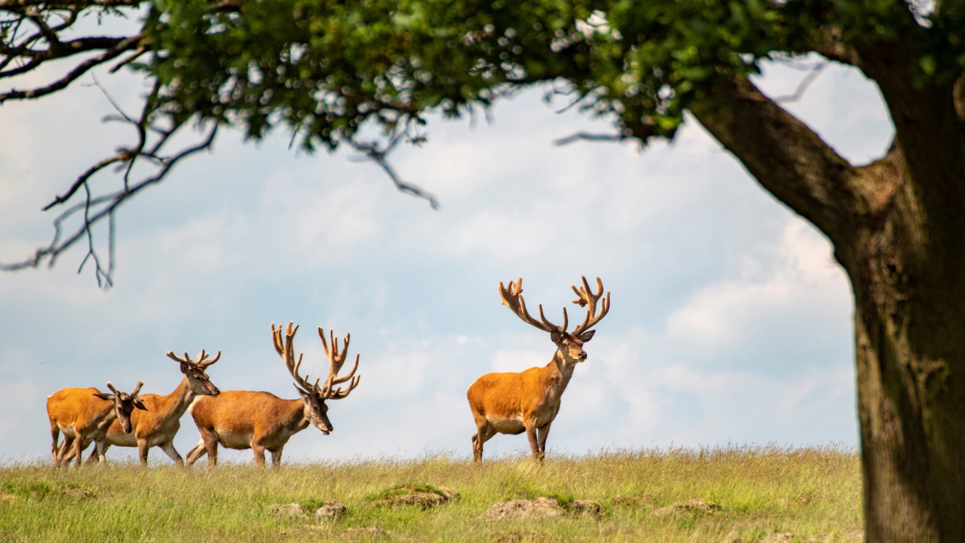 Vakantiekiekjes Ad van Meurs (6) – TV-krant