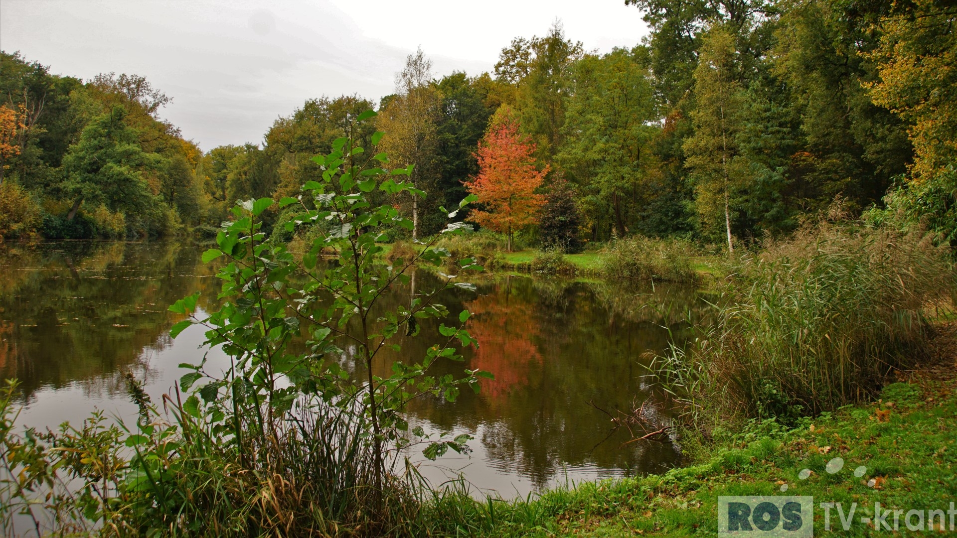 Mooi natuur (05) – TV-krant
