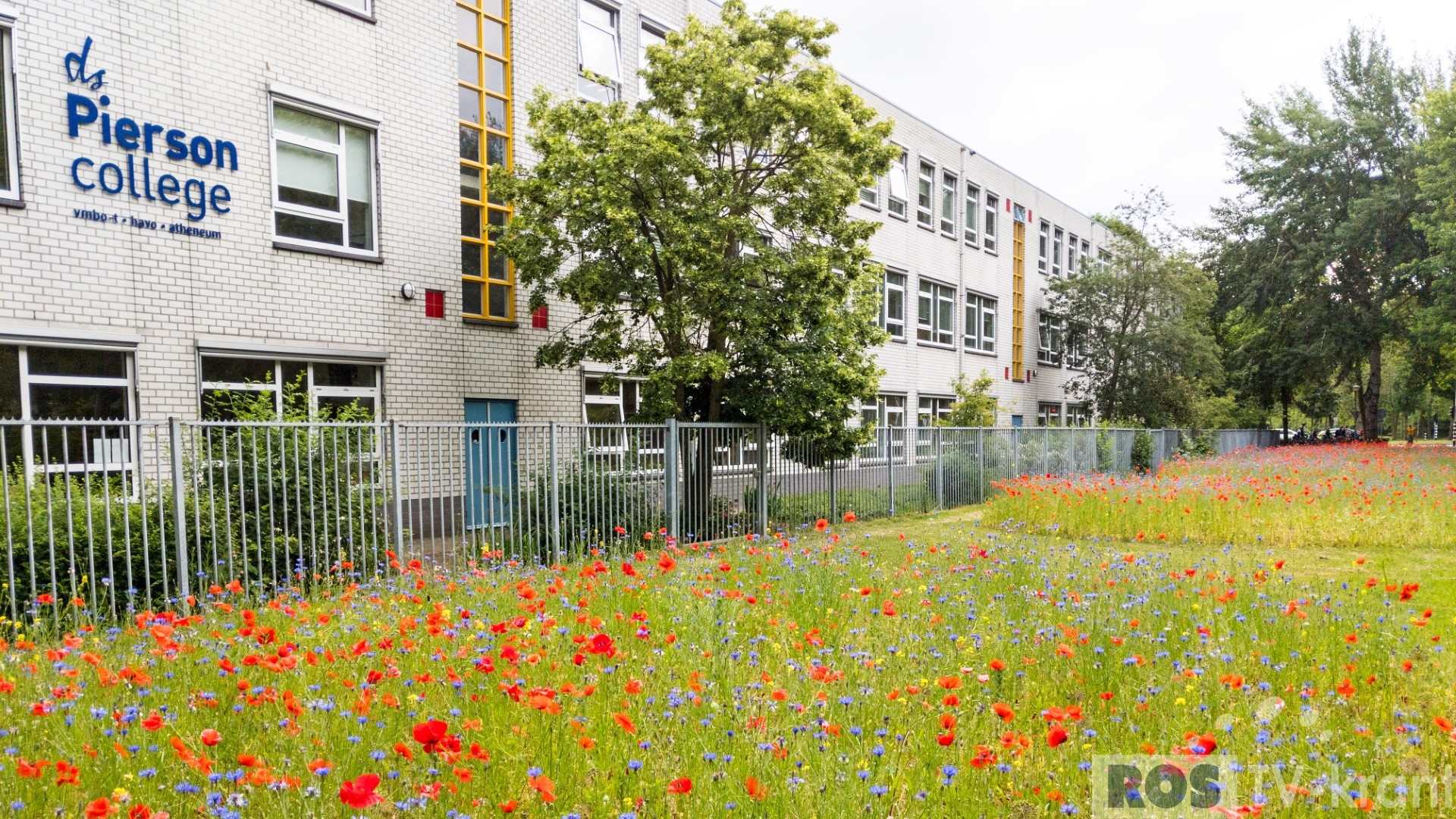 Reünie Pierson College op 25 juni 2022 – TV-krant