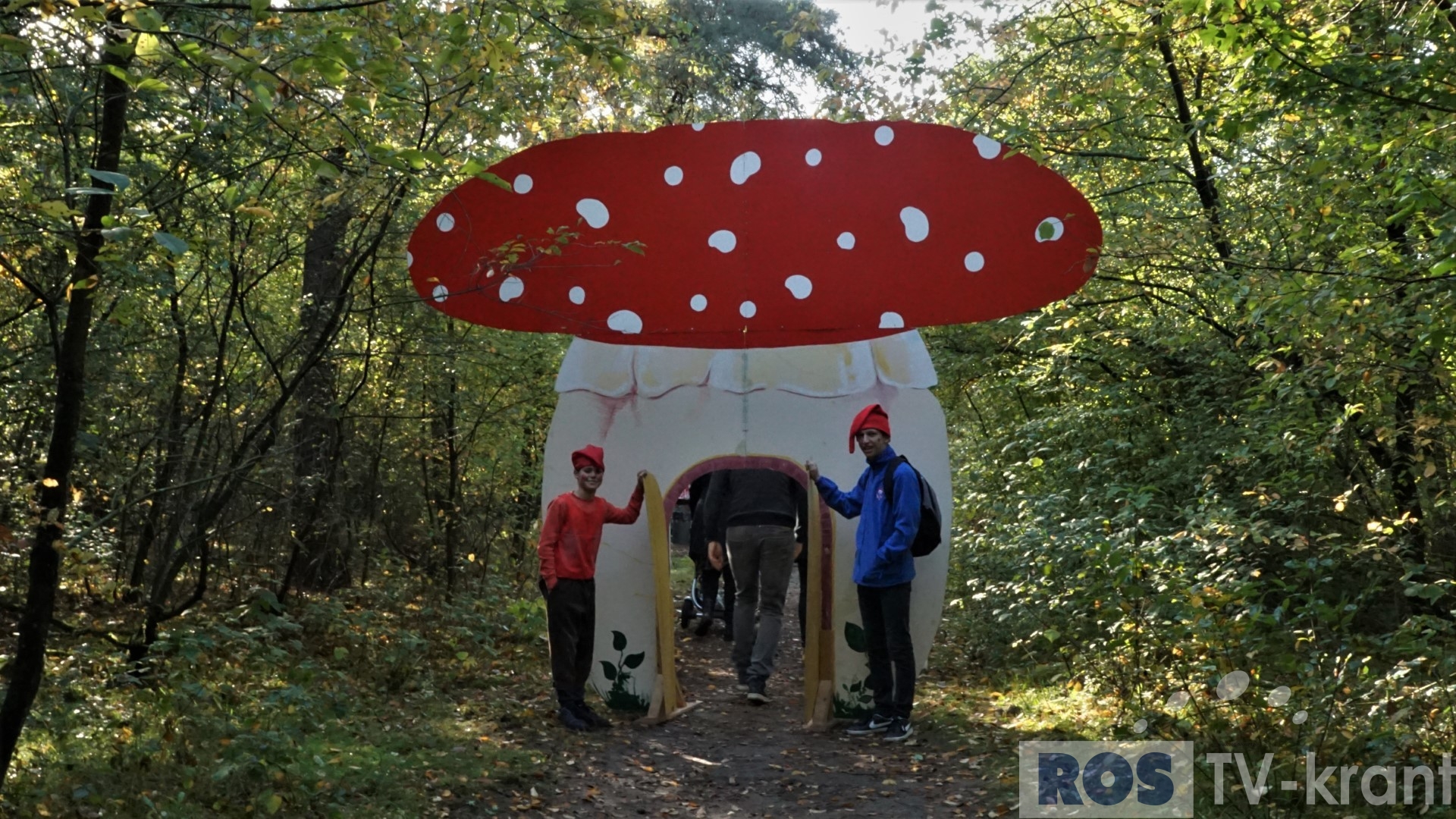 SJV-KABOUTERBOS-MET-KABOUTER-LEF-04.JPG – TV-krant