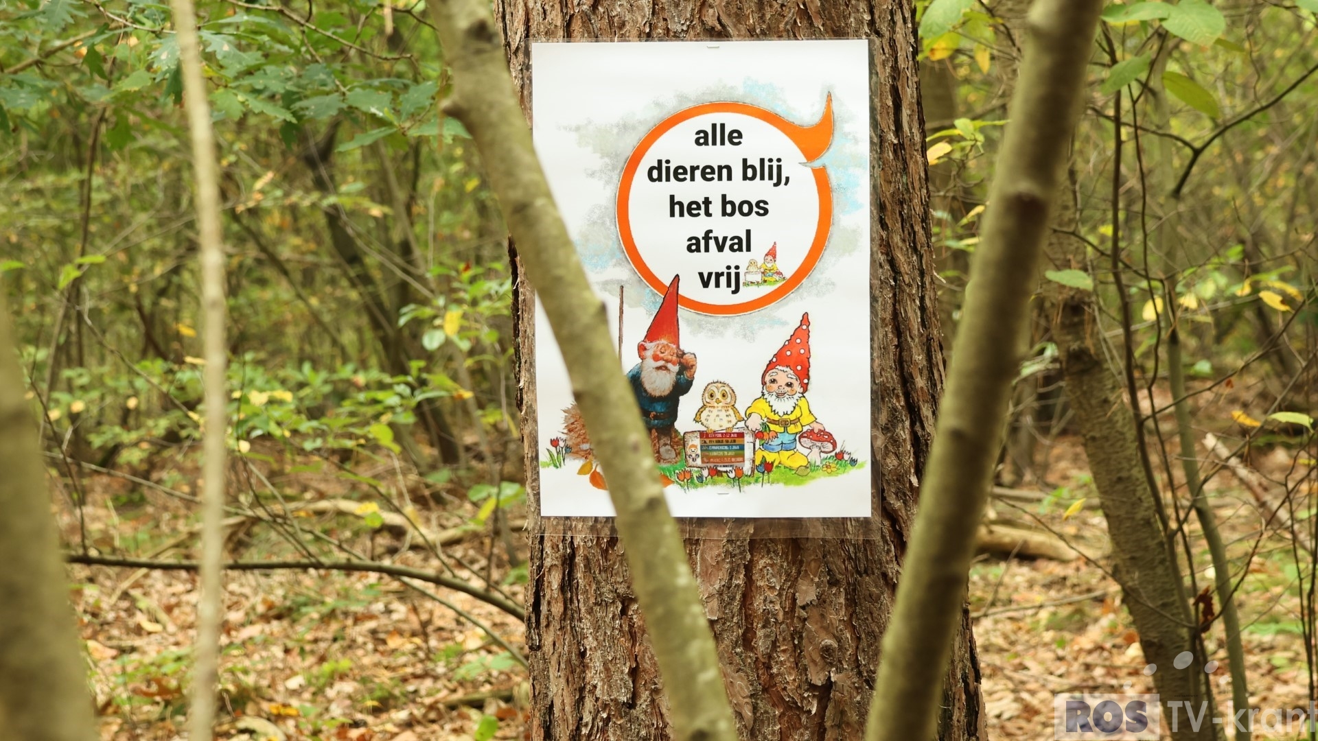 Zingend-door-het-SJV-kabouterbos-15.JPG – TV-krant
